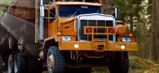 TIMBER LORRY DRIVER 2