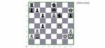ELITE CHESS